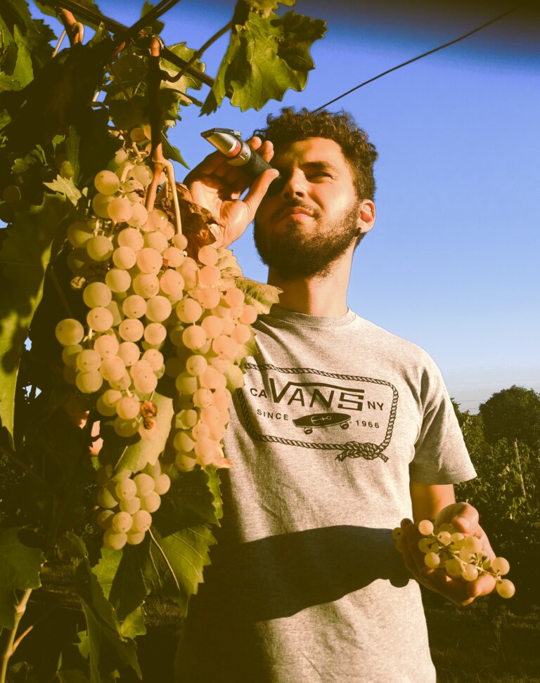 Peter Radovič – Decanto